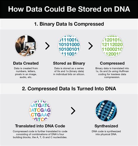 Dna Data Storage A Solution Looking For A Problem Nanalyze