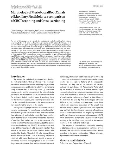 Pdf Morphology Of Mesiobuccal Root Canals Of Maxillary First Molars A Comparison Of Cbct