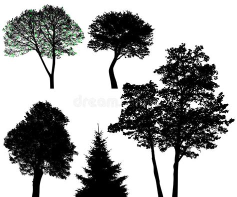Trees Vector Set Stock Vector Illustration Of Agriculture 9106281
