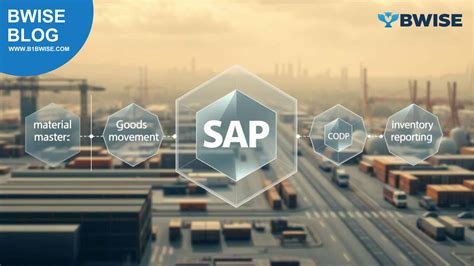 Inventory Management With Sap Bwise Full Distribution Solution