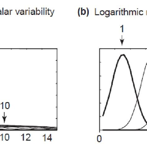Models Of The Mental Number Line A The Linear Model And B The Download Scientific