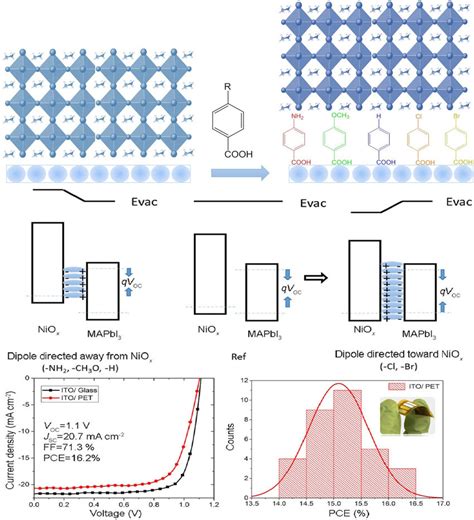 Top Panel Schematic Diagram Of The Nio X Mapbi 3 Structure Left And
