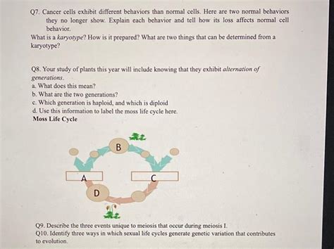 solved q1 what are the three key roles of cell division