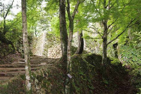 備中松山城の解説日本100名城登城方法 雲海に浮かぶ天守の幻想的な姿 お城解説日本全国1300情報城旅人