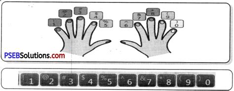 Pseb 7th Class Computer Solutions Chapter 1 Typing Tutor Pseb Solutions