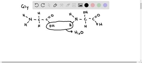 Solved Draw The Structure Of The Dipeptide Gly Ser Circling The Peptide Bond