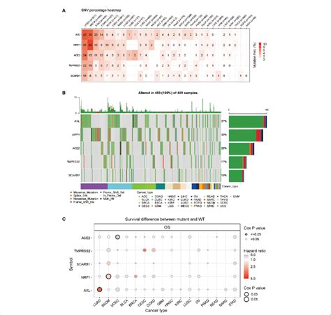 Frequencies Of Single Nucleotide Variants Snvs And Variant Types Of