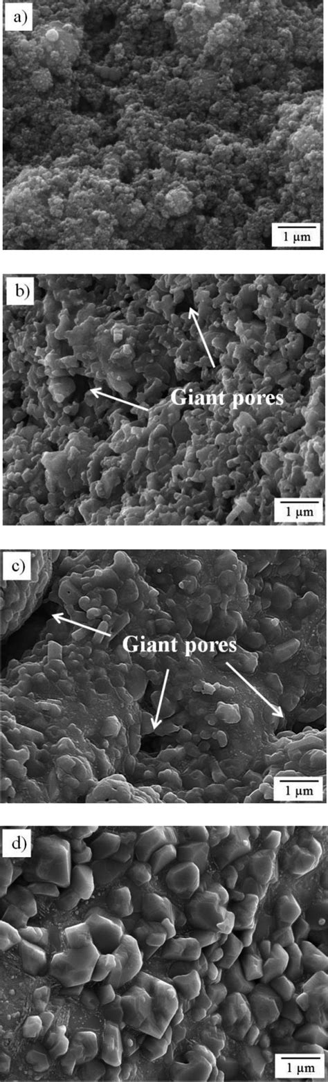 Sem Microstructures Of Sintered Porous Fe Cr Al Alloys A As Coated Download Scientific