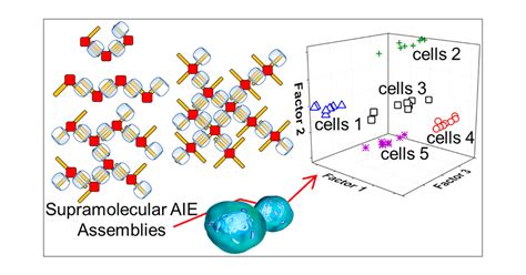 Multifunctional Supramolecular Assemblies With Aggregation Induced Emission Aie For Cell Line