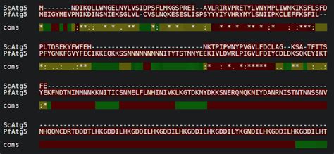 In My T Coffee Protein Alignment Result Concerning Two Sequences Why