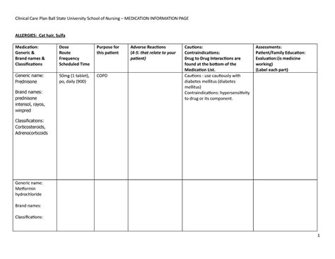 Medication Information Page Blank Clinical Care Plan Ball State University School Of Nursing