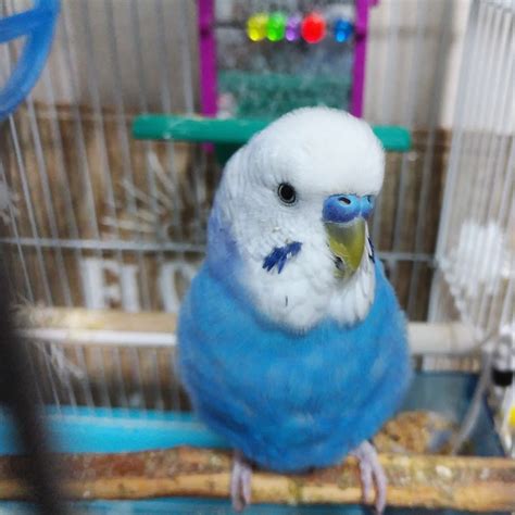 古内寛子 Youtube