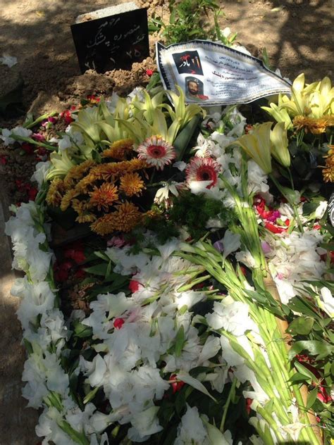 مادر سردار شهید مجید رمضان به دیدار فرزندش شتافتعکس تسنیم