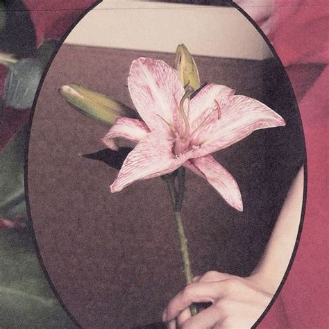 72 Widget Backgrounds Ideas In 2025 Pretty Pictures Dark Naturalism