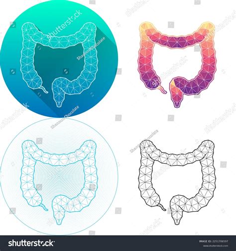 Poly Colon Image Photos Images And Pictures Shutterstock