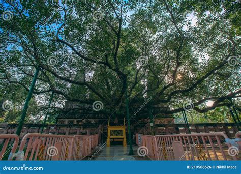 Mahabodhi Temple Editorial Image 23565732