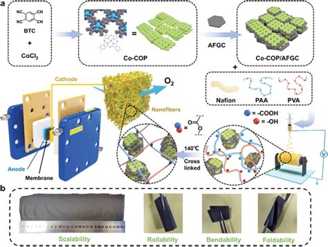 Preparation Of The Cross‐linked Nanofibers Electrocatalyst A Download Scientific Diagram