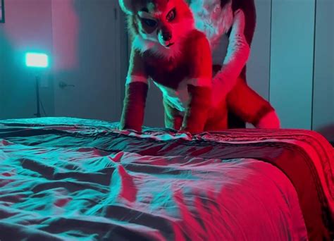Fursuit Sex Video Thisvid Com
