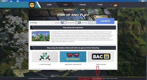 How To Submit A Bug Report Badlion