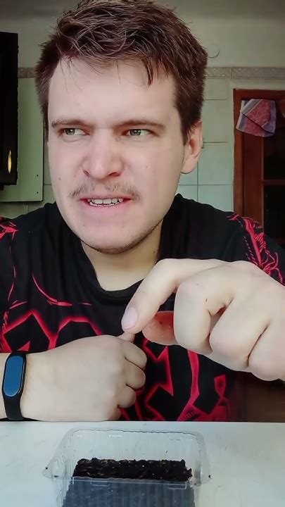 김 와사비 머스타드 핫소스 두 개 버섯 Youtube