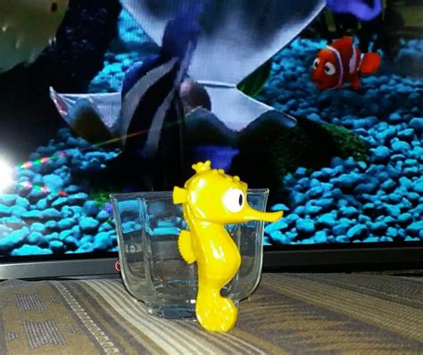 Finding Nemo Sheldon