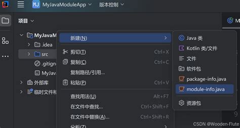 Java 初始java模块化开发module Infojava Csdn博客