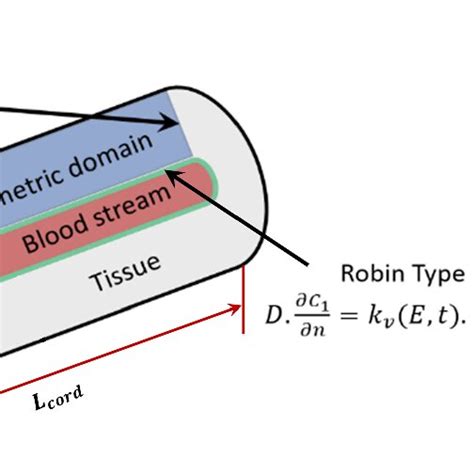 Boundary Conditions Of The Physical Domain Download Scientific Diagram