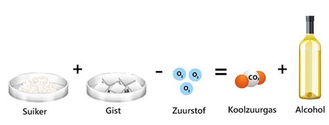 Gist Als Ingrediënt Van Bier Lees Er Hier Meer Over