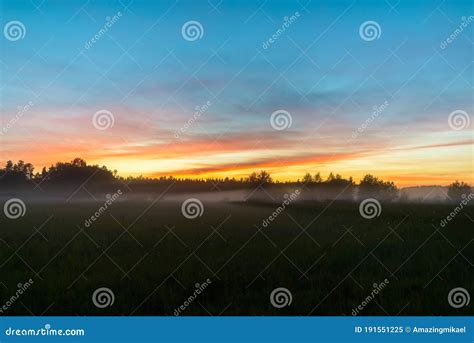 Beautiful Scenery Of Foggy Grass Field In The Break Of Dawn Stock Image