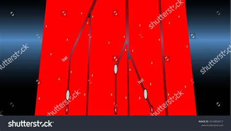 Red Printed Circuit Board Pcb No Stock Vector Royalty Free 1616804917