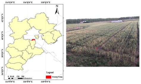 Remote Sensing Free Full Text Winter Wheat Spad Value Inversion Based On Multiple