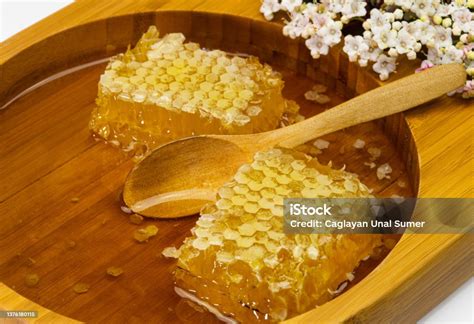벌집과 나무 숟가락을 나무 접시에 넣고 흰색 배경에 흰색 꽃을 가진 꿀 꿀에 대한 스톡 사진 및 기타 이미지 꿀 벌 집 양봉 Istock