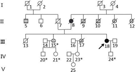 Frontiers A New Subtype Of Lynch Syndrome Associated With Msh2 C 354t A P Y118 Identified