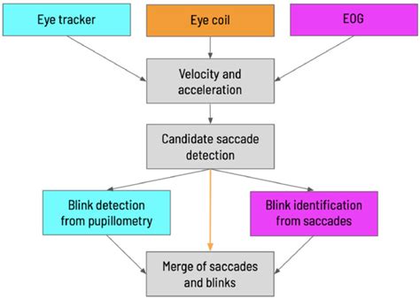 Safide Detection Of Saccade And Fixation Periods Based On Eye Movement Attributes From Video