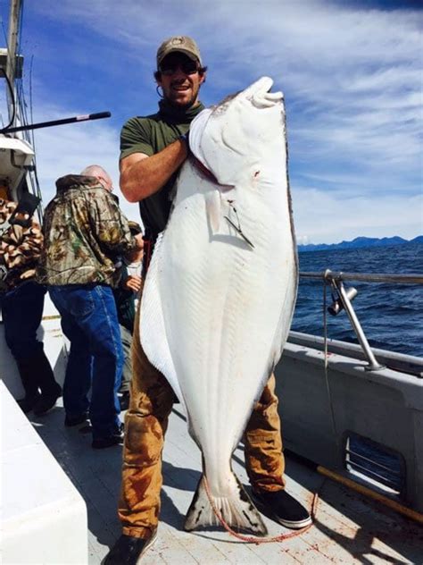 Halibut Facts Why Are Halibut So Big In Alaska