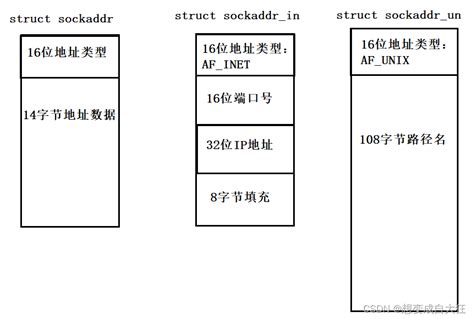 网络编程套接字创建网络插口函数socket示例 Csdn博客