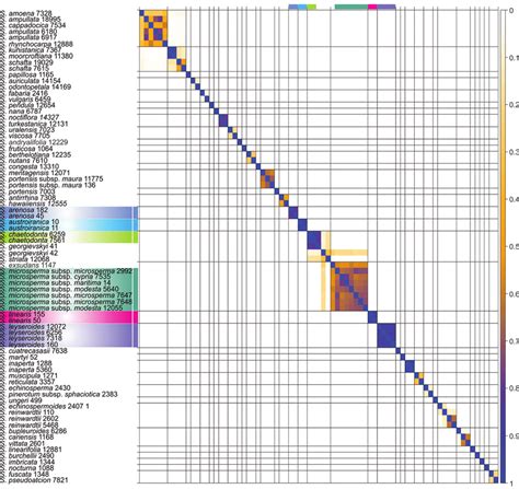 Similarity Matrix Calculated Using Speciesdelimationanalyser V125