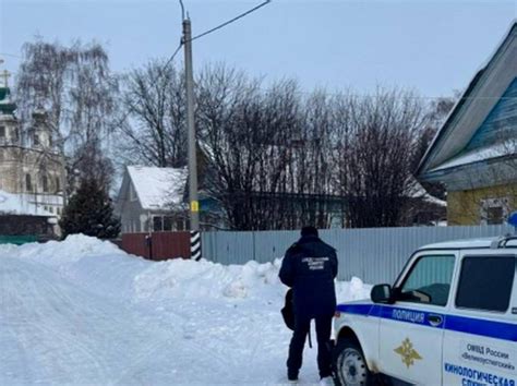 Тело убитой женщины затащили в подвал ВИДЕО Вологда и Вологодская область ИА СеверИнформ