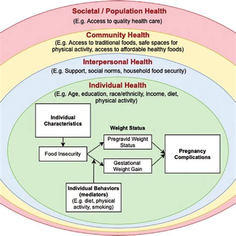 Conceptual Framework Embedding Laraias Conceptual Framework Of The