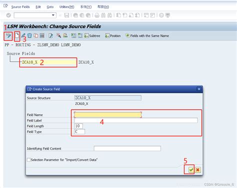 Sap Lsmw批导创建及使用过程 Csdn博客