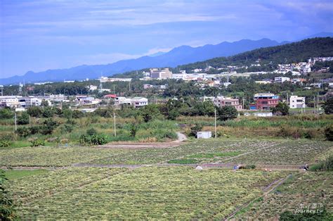 苗栗銅鑼當杭菊花開時覆蓋一層雪白色嫁紗 許傑 旅行圖中