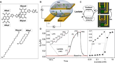 Mediator And Reference Electrode Free Sensing Of Lactate With An
