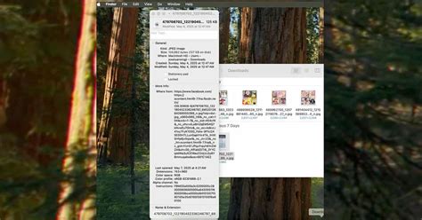 How To Open The Properties Of A File Or Folder On A Macbook Macos The Mac Observer