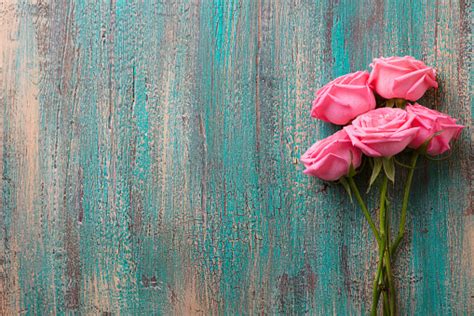 다채로운 청록색 나무 배경에 핑크 장미 맨 위 보기 공간을 복사합니다 0명에 대한 스톡 사진 및 기타 이미지 0명 개념 결혼식 Istock