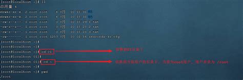 【linux探索学习】第一弹——linux的常用指令linux初体验的第一关初级代码和命令行 Csdn博客 【linux探索学习】第一弹——linux的常用指令linux初体验的第一关初级代码和命令行 Csdn博客