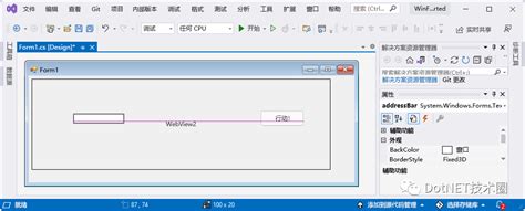 如何在winforms 应用中使用 Webview2 董川民