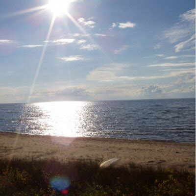 Lorie Ann Pixofyou Twitter