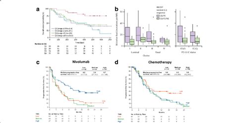 Tumor Mutation Burden As A Biomarker For Anti Pd 1pd L1 Therapy A Download Scientific Diagram