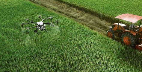 Computer Vision Applications In Agriculture