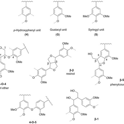 Proposed Chemical Structure And Ms³ Fragmentation Pathway For The